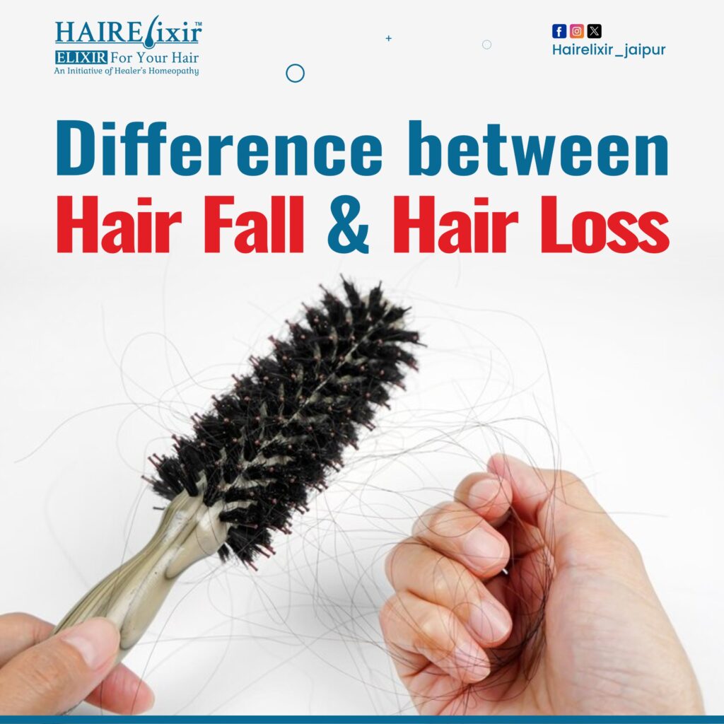 Difference between Hair Fall and Hair Loss - Haircare Difference between Hair Fall and Hair Loss - Haircare